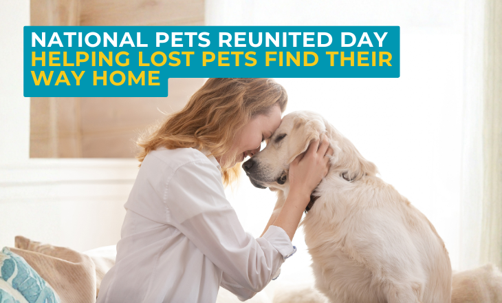 National Pets Reunited Day – Helping Lost Pets Find Their Way Home